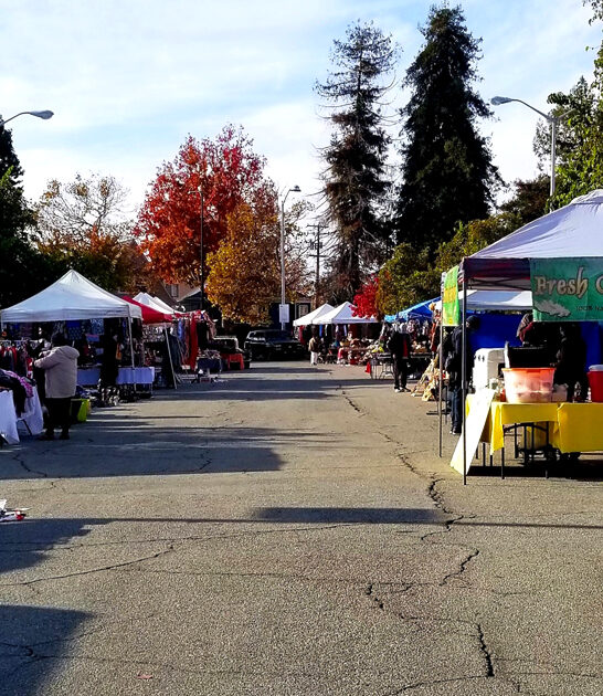 california popular market flea ftr