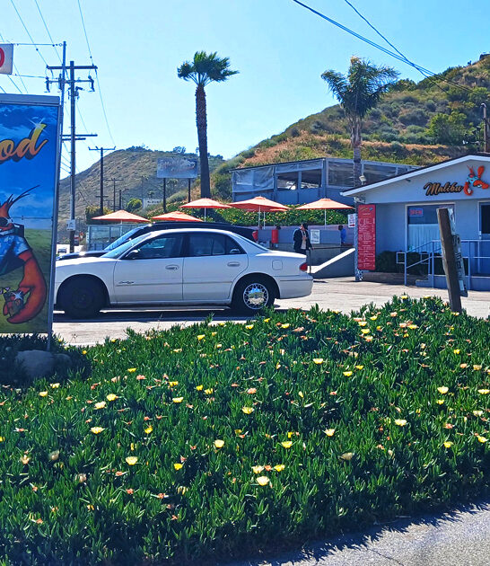 california restaurant appetizing seafood ftr