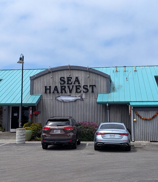 california seafood shack chowder ftr