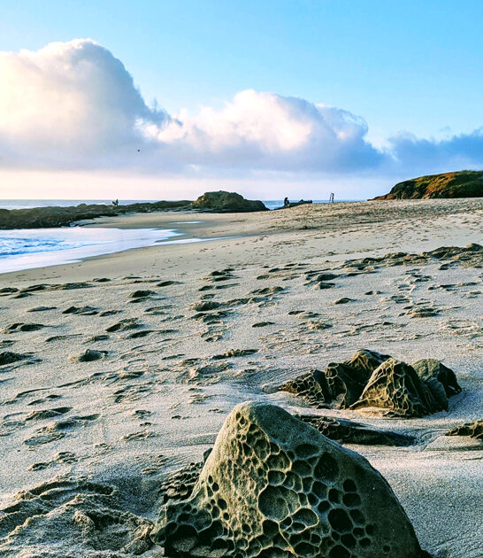california secret beach spot FTR