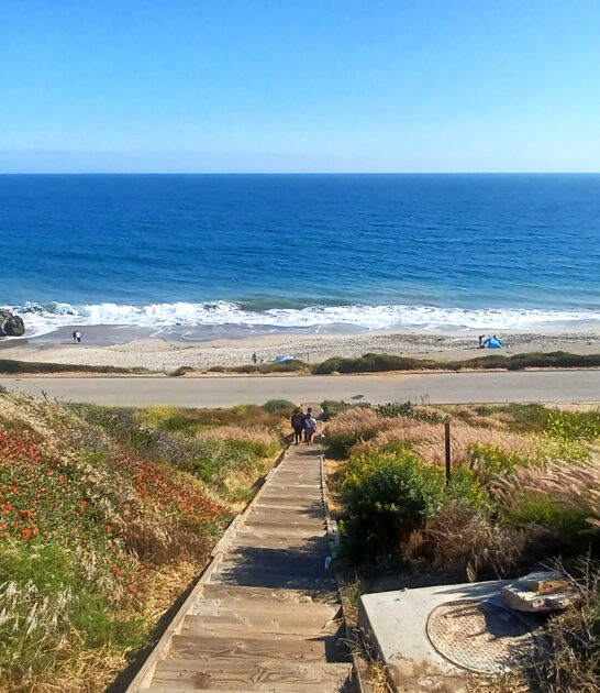 california state park adventure ftr