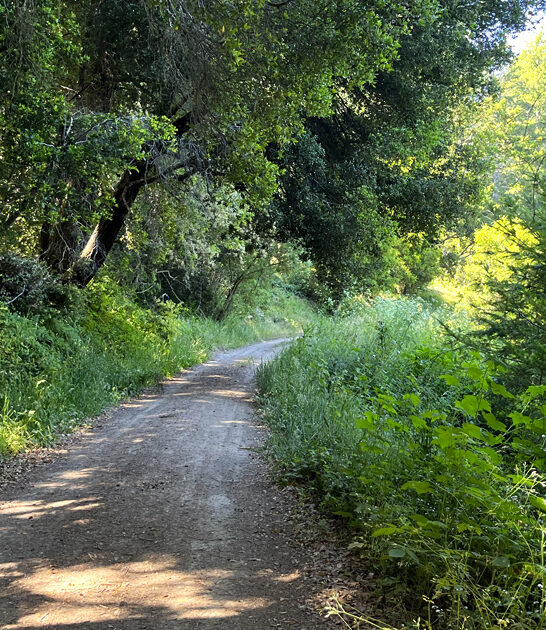 california state parks wilderness ftr