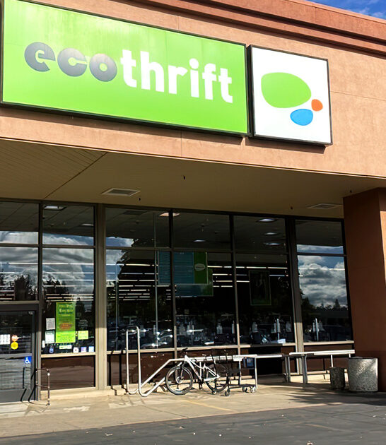 california thrift shopping journey ftr