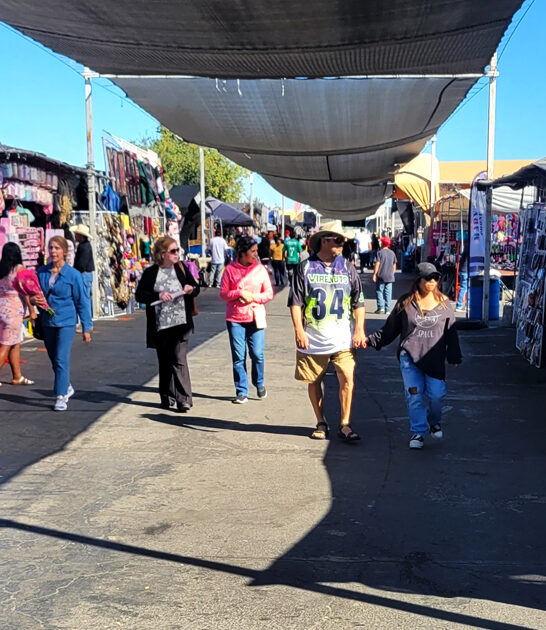 california treasure hunt escape ftr