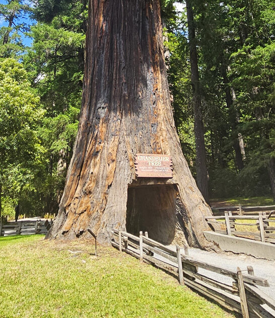 california unique roadside destination ftr