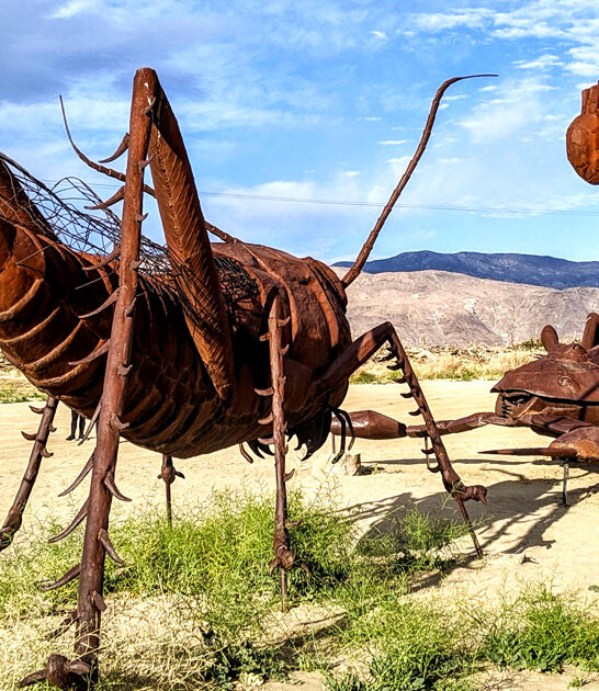 california wonderful sculpture park ftr