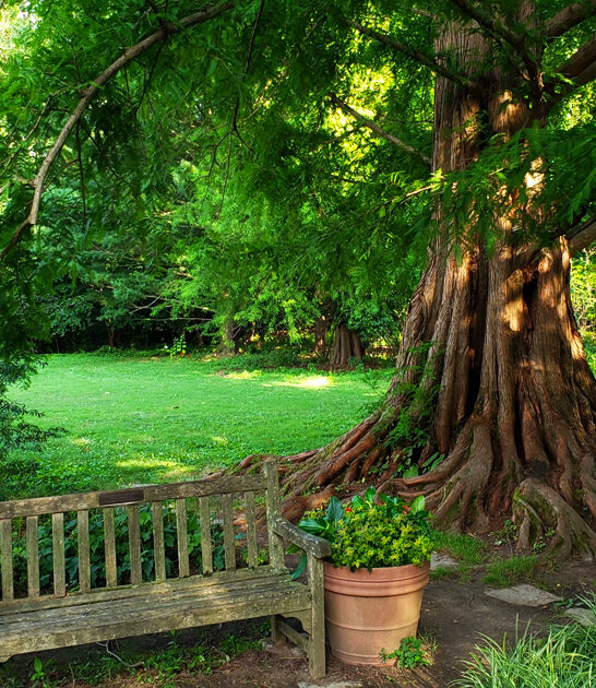 charming botanical garden maryland ftr