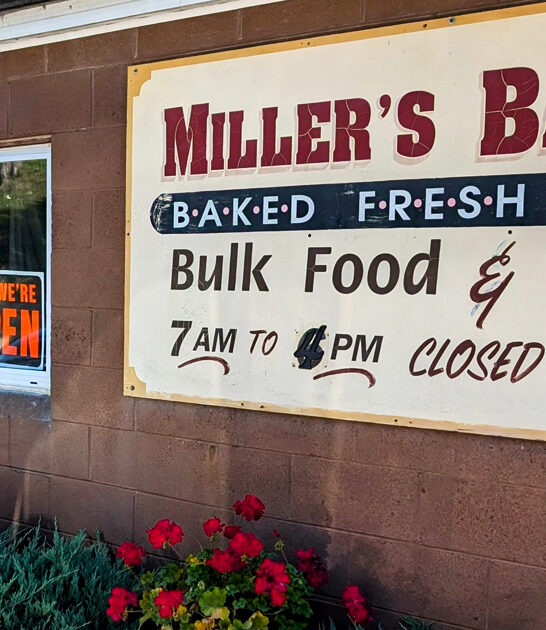 charming cinnamon rolls ohio ftr