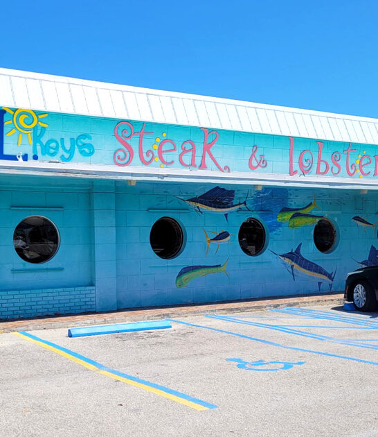 charming florida lime pies ftr