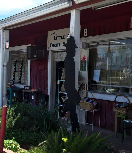 charming secondhand shop california ftr