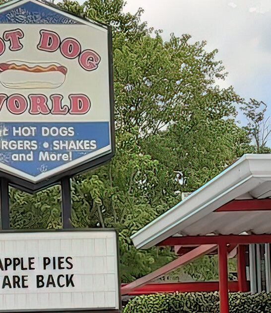 cheese dog north carolina ftr