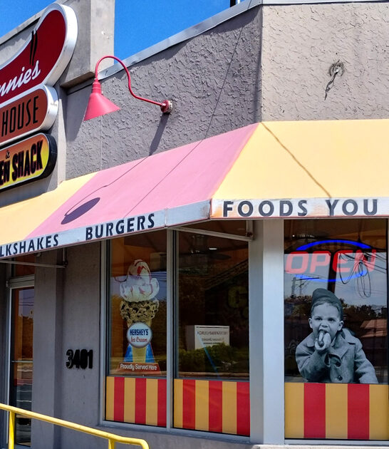 chicago dog delaware diner ftr