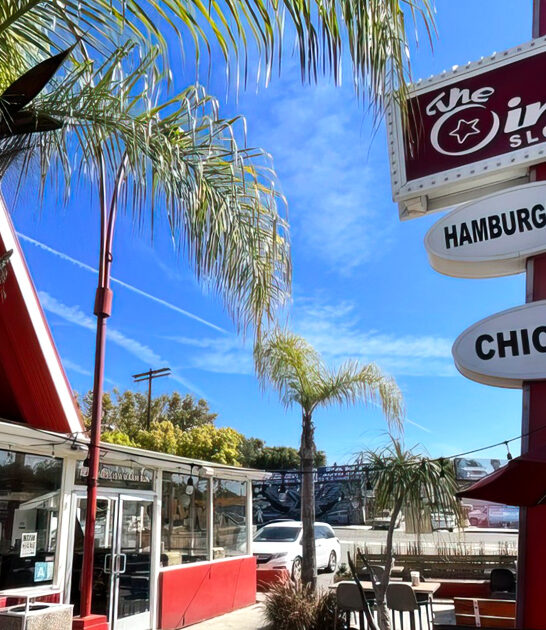 chicken brie sandwich california ftr