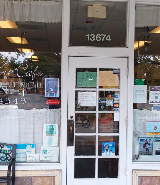 chicken gyro sandwich florida ftr