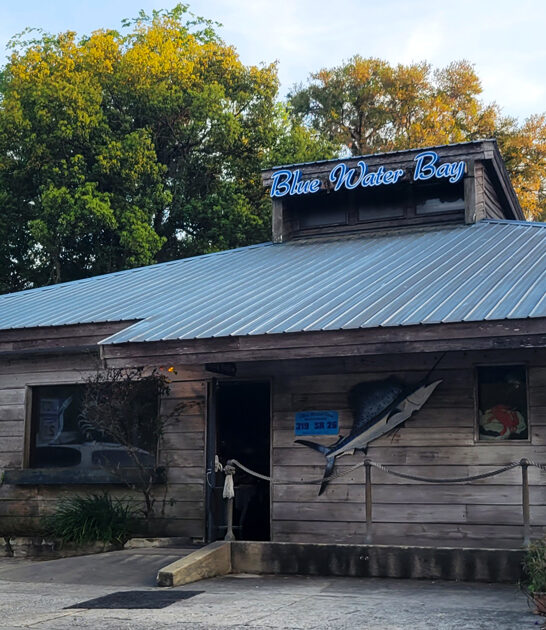 chicken quesadilla florida restaurant FTR