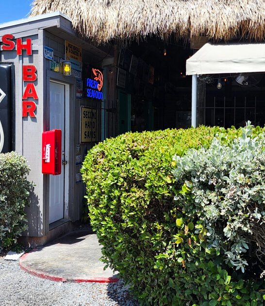 chicken sandwich florida legend ftr