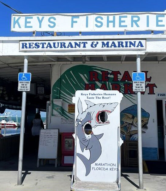 chicken wings place florida ftr