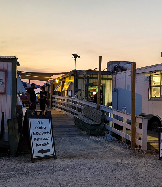 classic grilled tripletail florida ftr