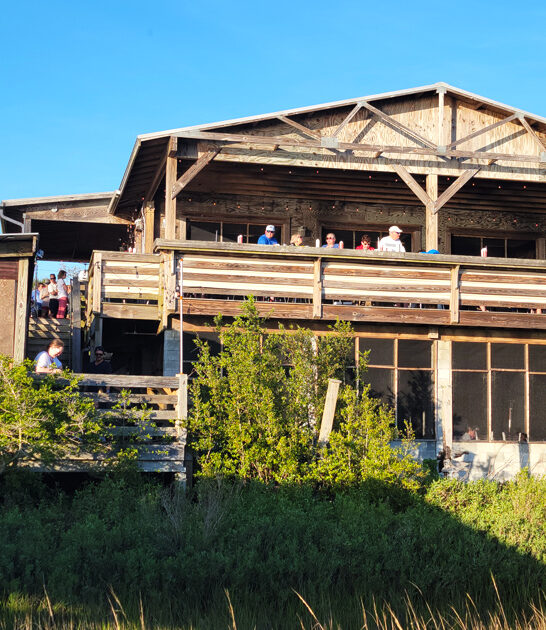 classic shrimp south carolina ftr