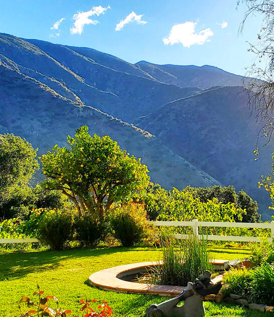 comfortable small town california ftr