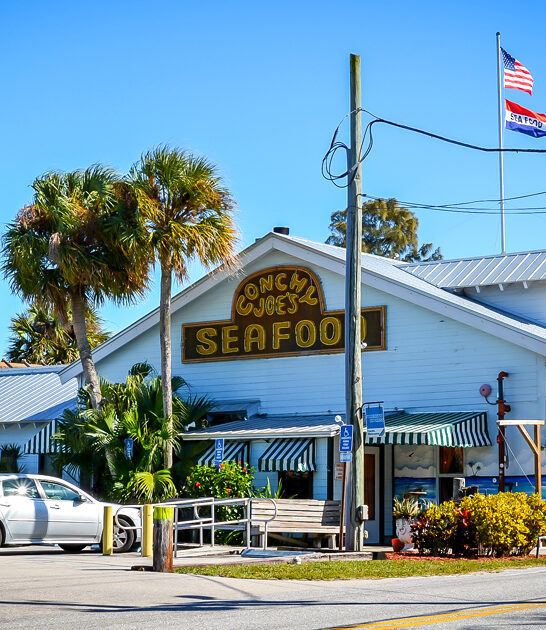 conch fritters trip florida ftr