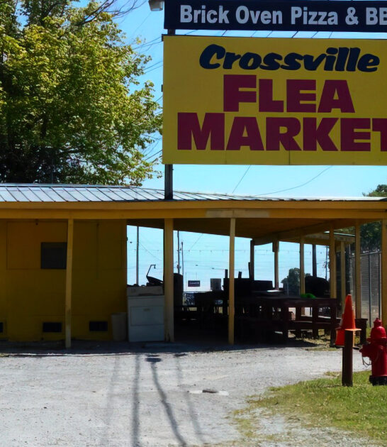 coolest stuff shop tennessee ftr