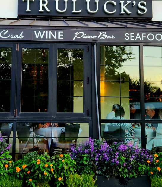 cozy florida best seafood ftr