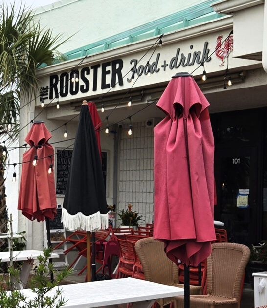 cozy fried chicken florida ftr