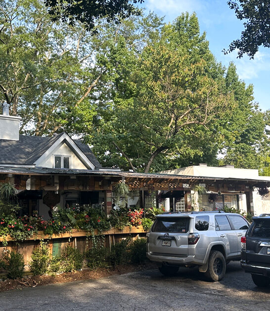 cozy georgia known burgers ftr