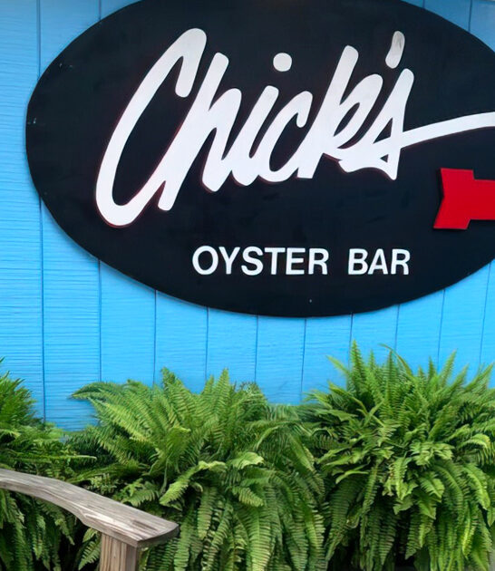 cozy virginia oysters rockefeller ftr