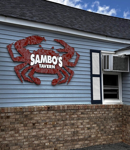 delaware best hush puppies ftr