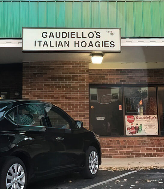 delaware deli italian hoagie ftr