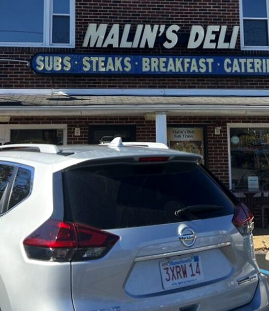 delaware italian sub ftr