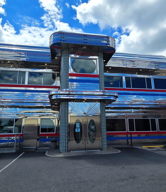 delaware retro chicken diner ftr
