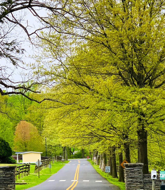 delaware state park dream FTR