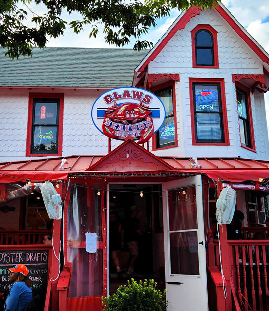 delaware tasty seafood calamari ftr