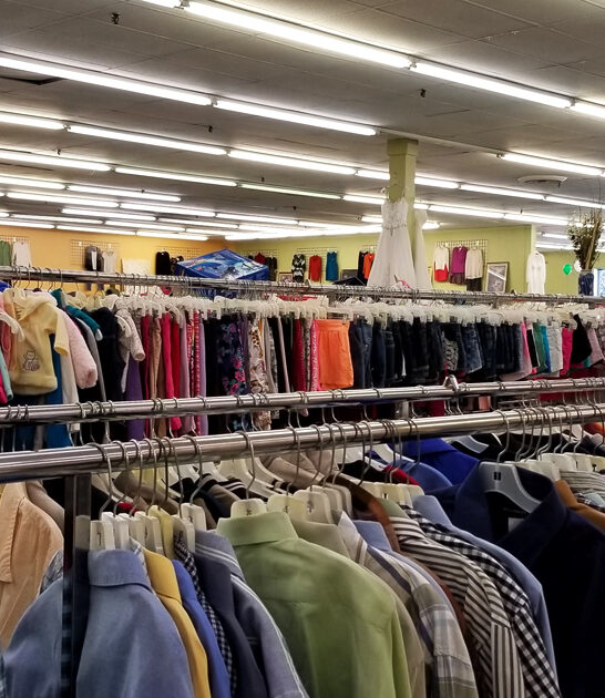 delaware thrift gigantic wonderland ftr