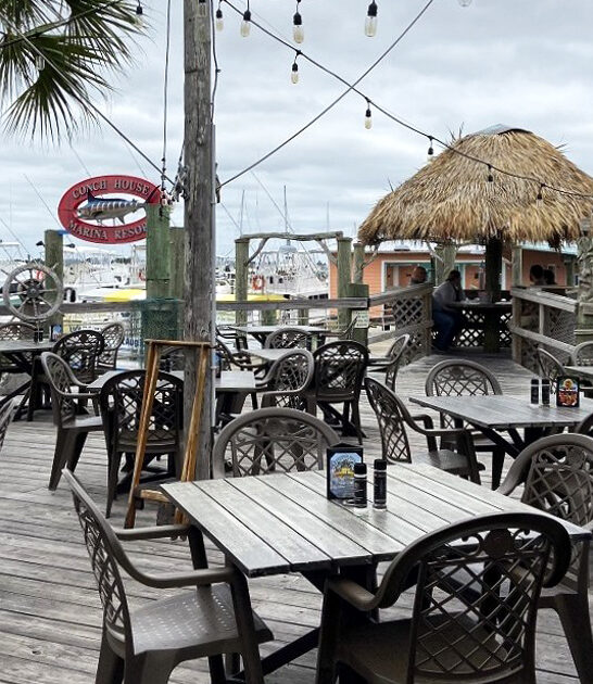 delectable jerk chicken florida ftr