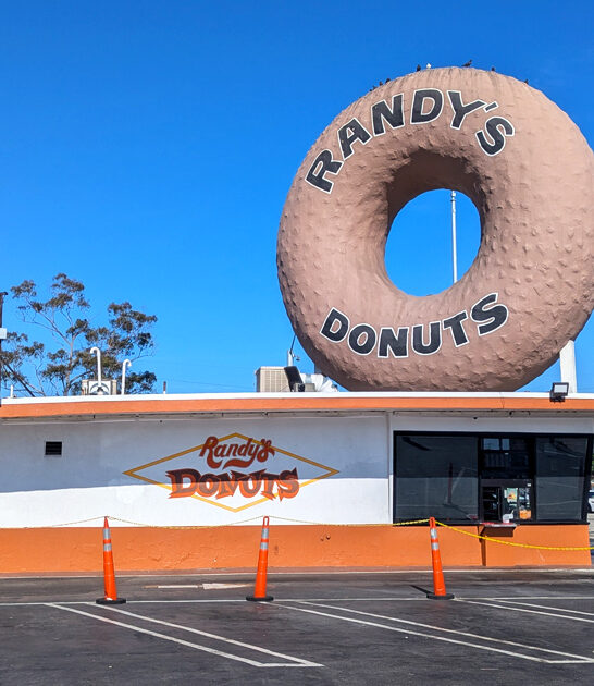 delicious california apple fritters ftr