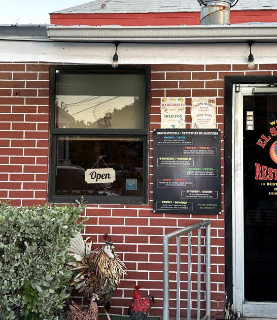 delicious empanadas florida restaurant ftr