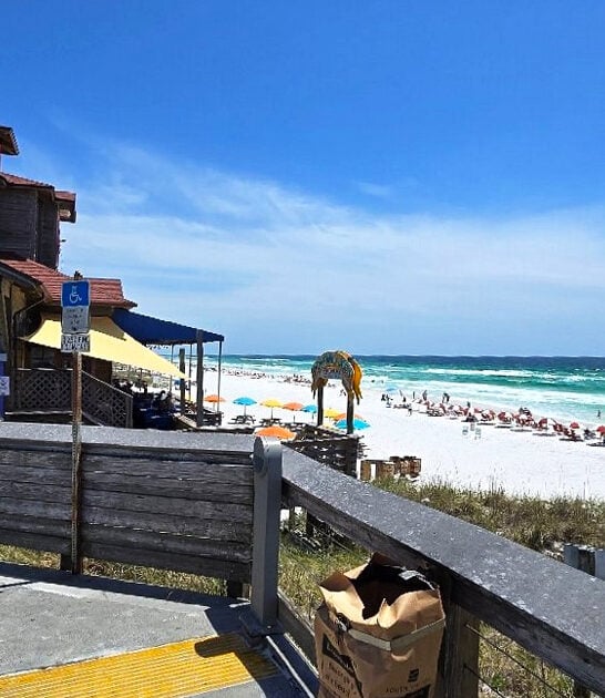 delicious florida caribbean seafood ftr