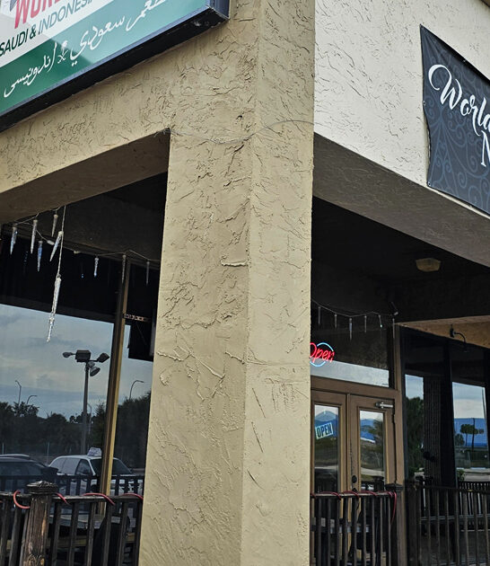 delicious grape leaves florida ftr