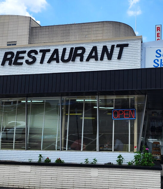 delicious lemon pie georgia ftr