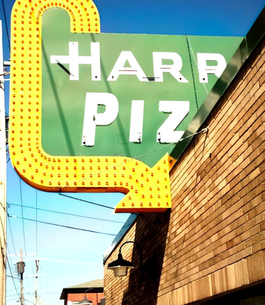 delicious pizza joints illinois ftr