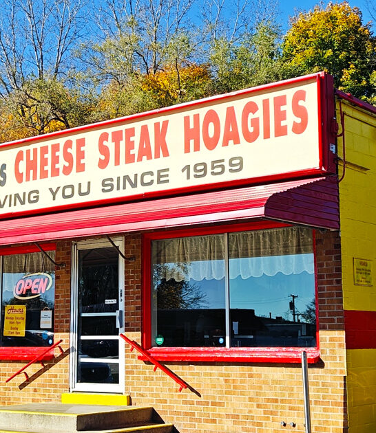 delightful sandwich shops michigan ftr