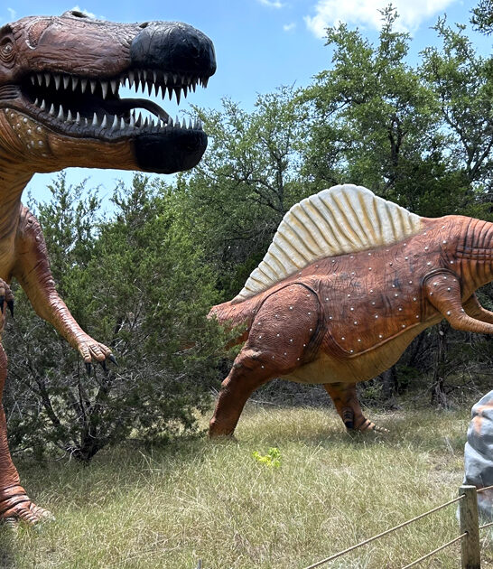 dinosaur park texas jurassic ftr