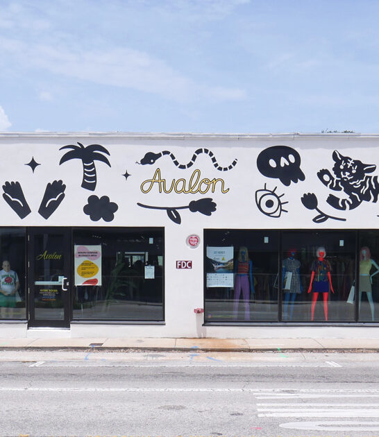 dream secondhand shop florida ftr