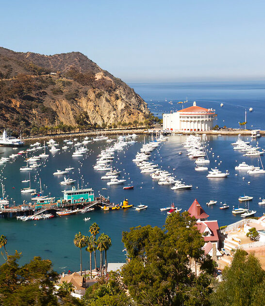 dreamy california trips day ftr