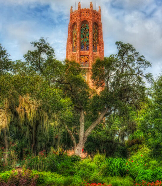 dreamy iconic garden florida ftr