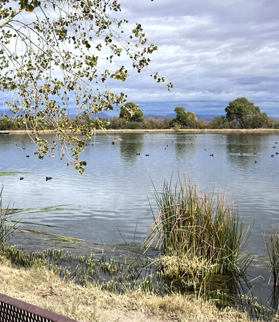 dreamy park arizona away ftr